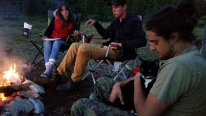 Camping with cats: The ultimate guide – Adventure Cats