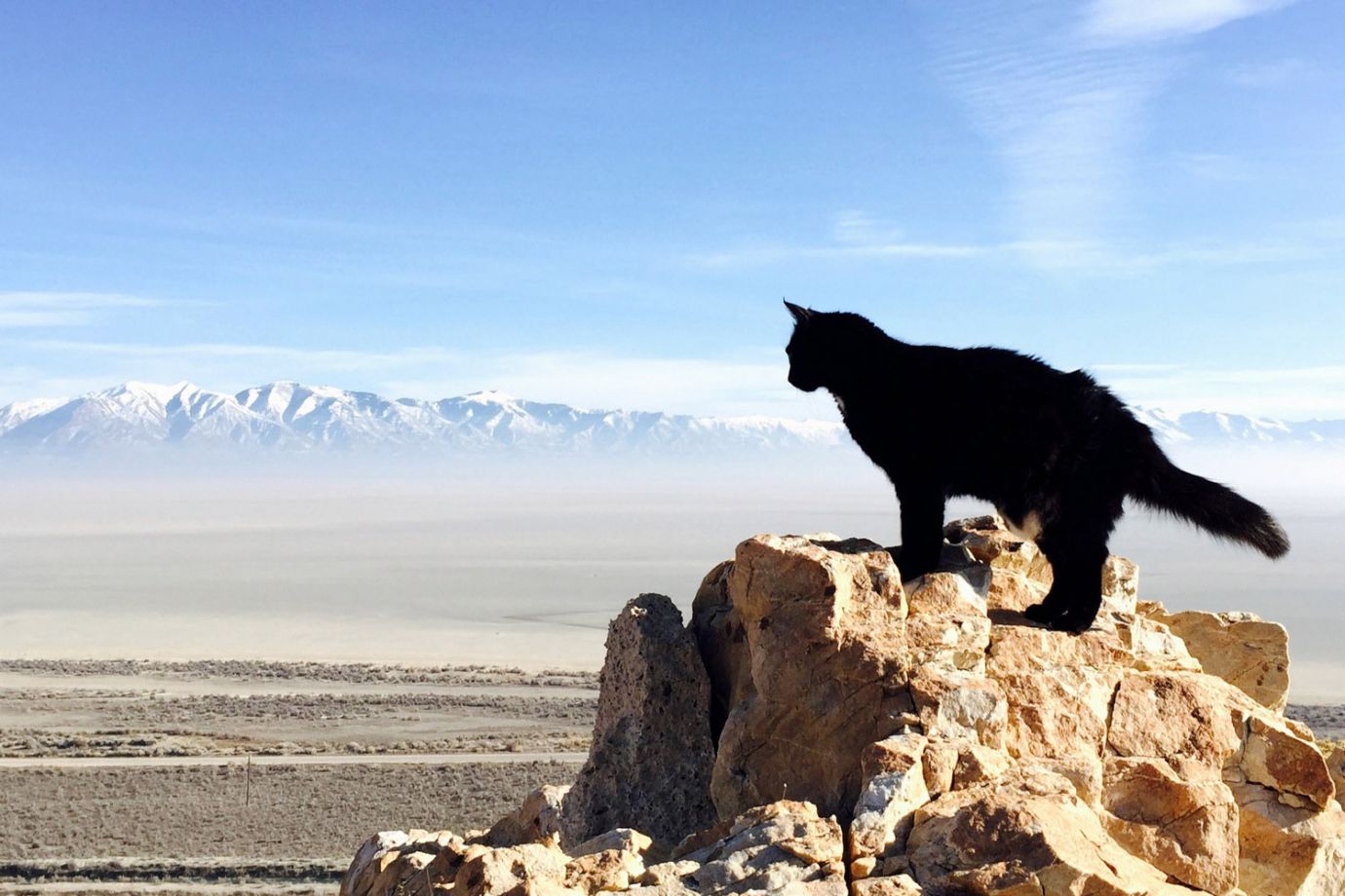 'Catting' allows you to see the world in a whole new way – Adventure Cats