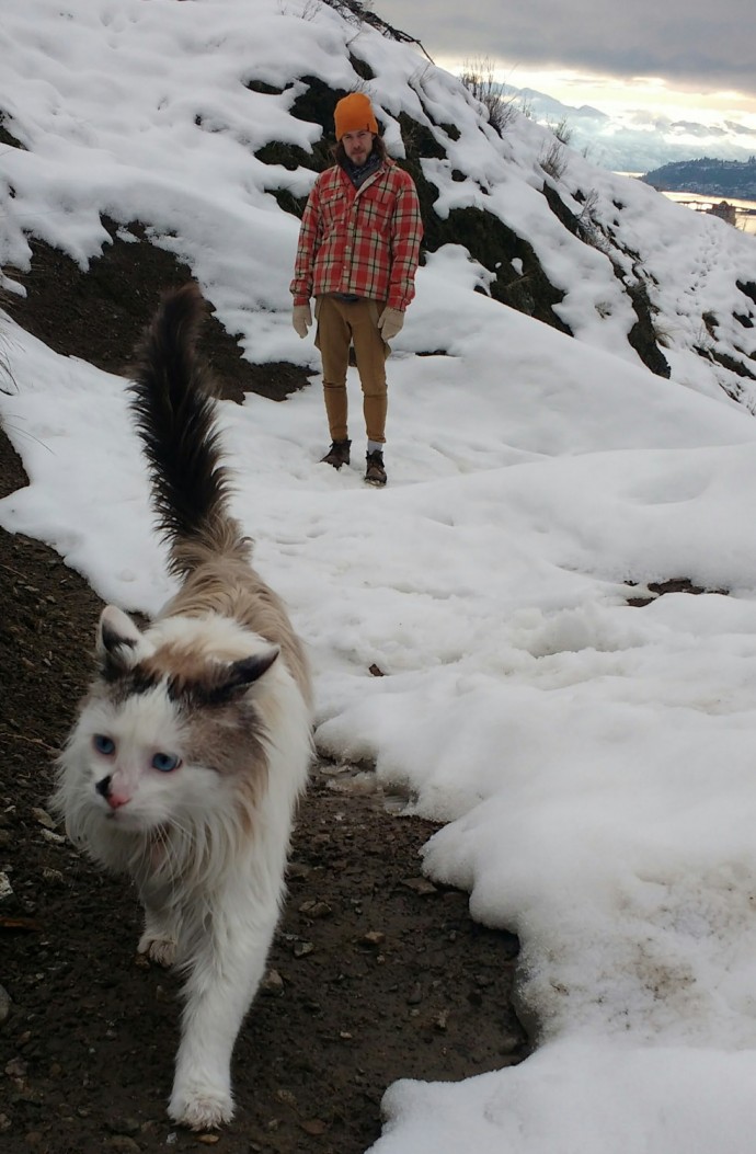 Kitty, there's snow (and adventure) outside – Adventure Cats