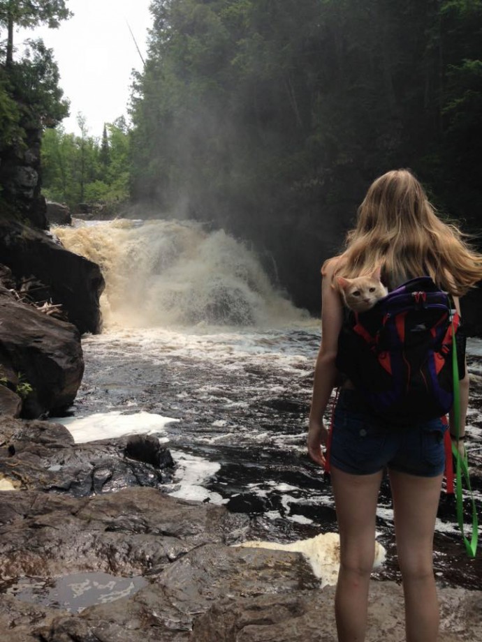 Meet Michigan's most courageous cat – Adventure Cats