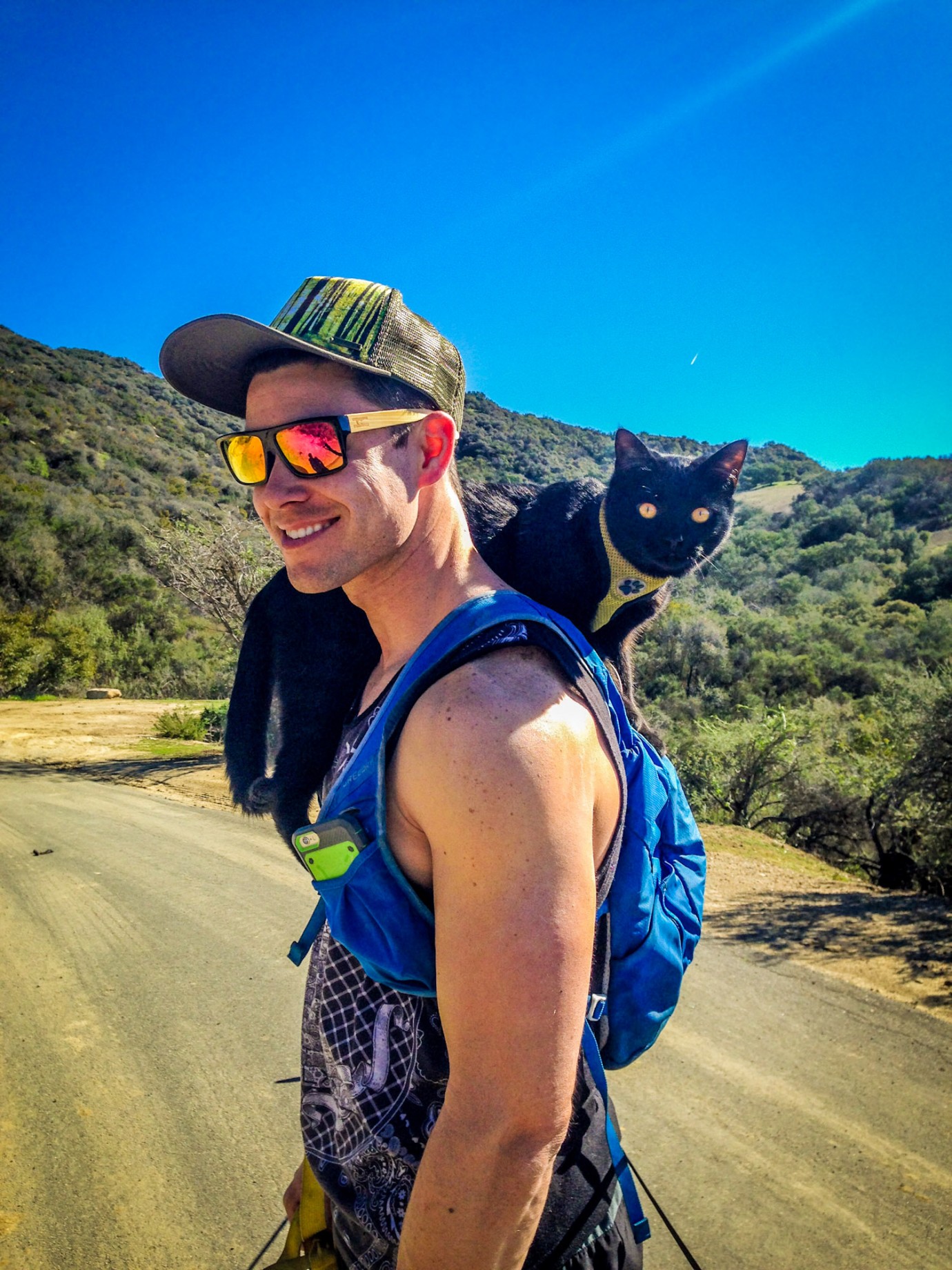 What's it like to backpack with a cat? – Adventure Cats