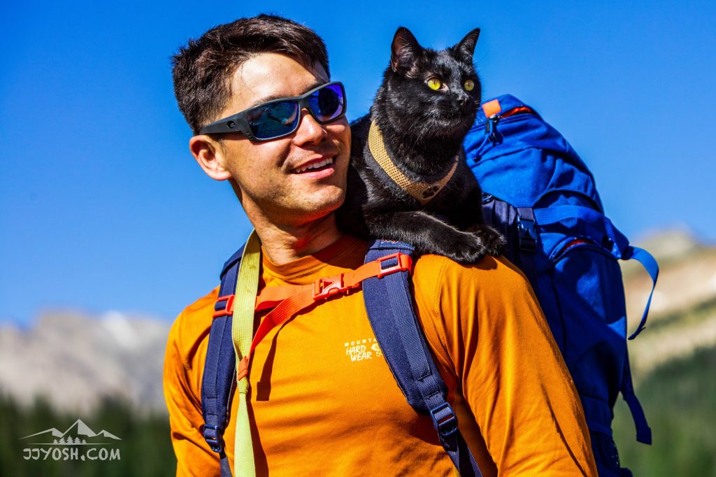 What's it like to backpack with a cat? – Adventure Cats