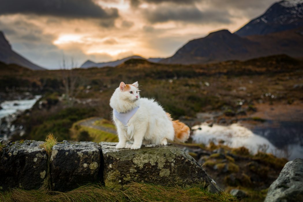 Salty Sea Cat shows us the ropes – Adventure Cats