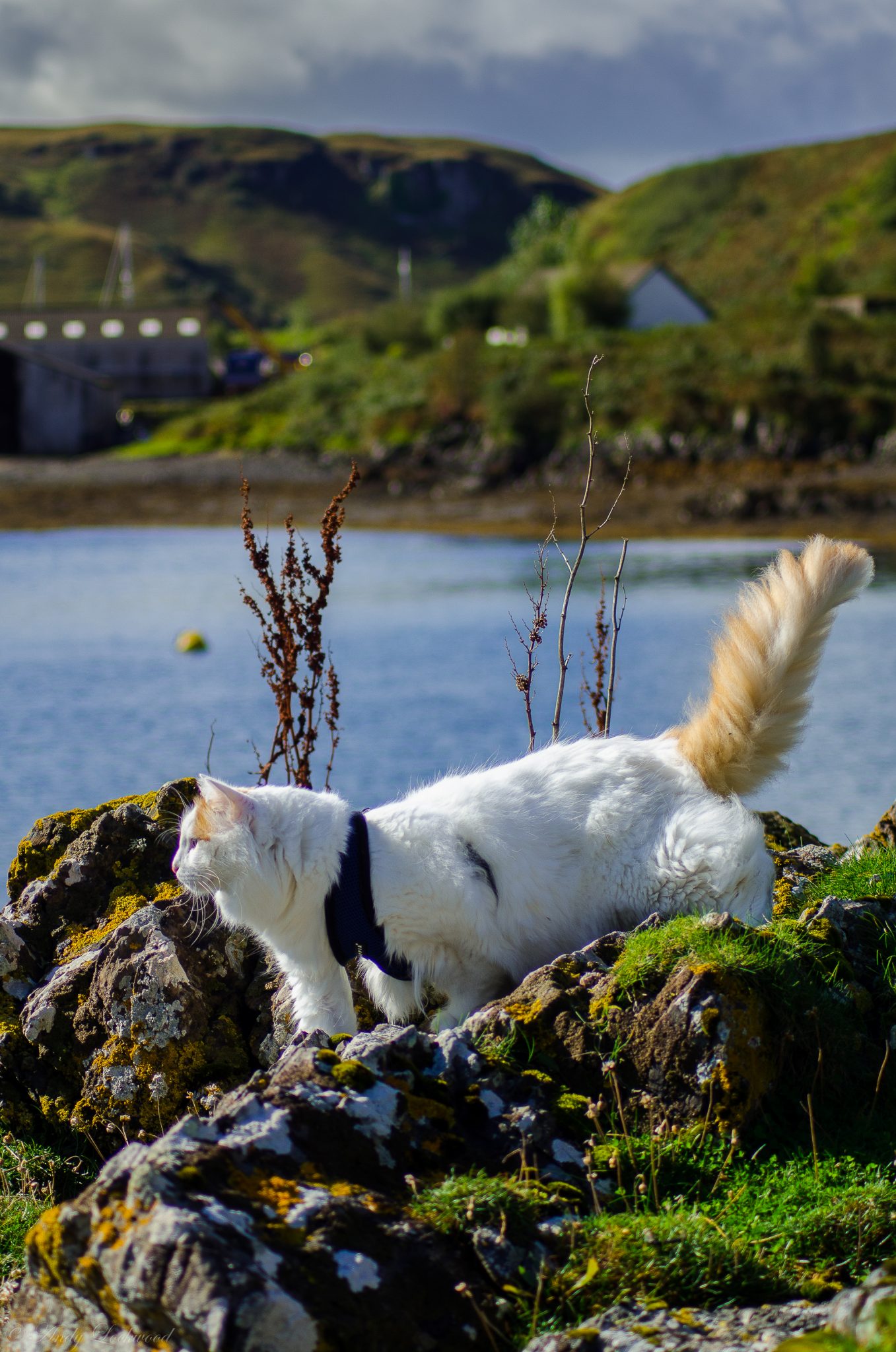 Salty Sea Cat shows us the ropes – Adventure Cats