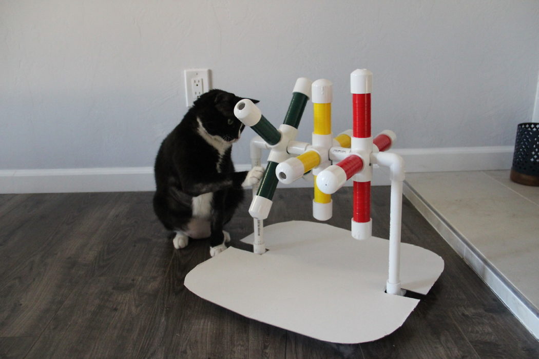 Aerospace engineer has 'pawsome' DIY solutions for cat people ...